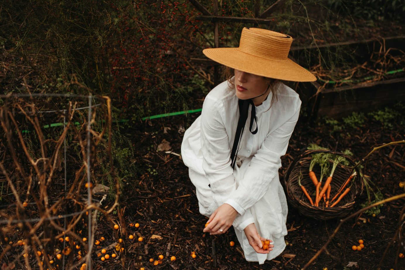 The Doctorette – A Digital Creation by Dr. Nicole Cranley