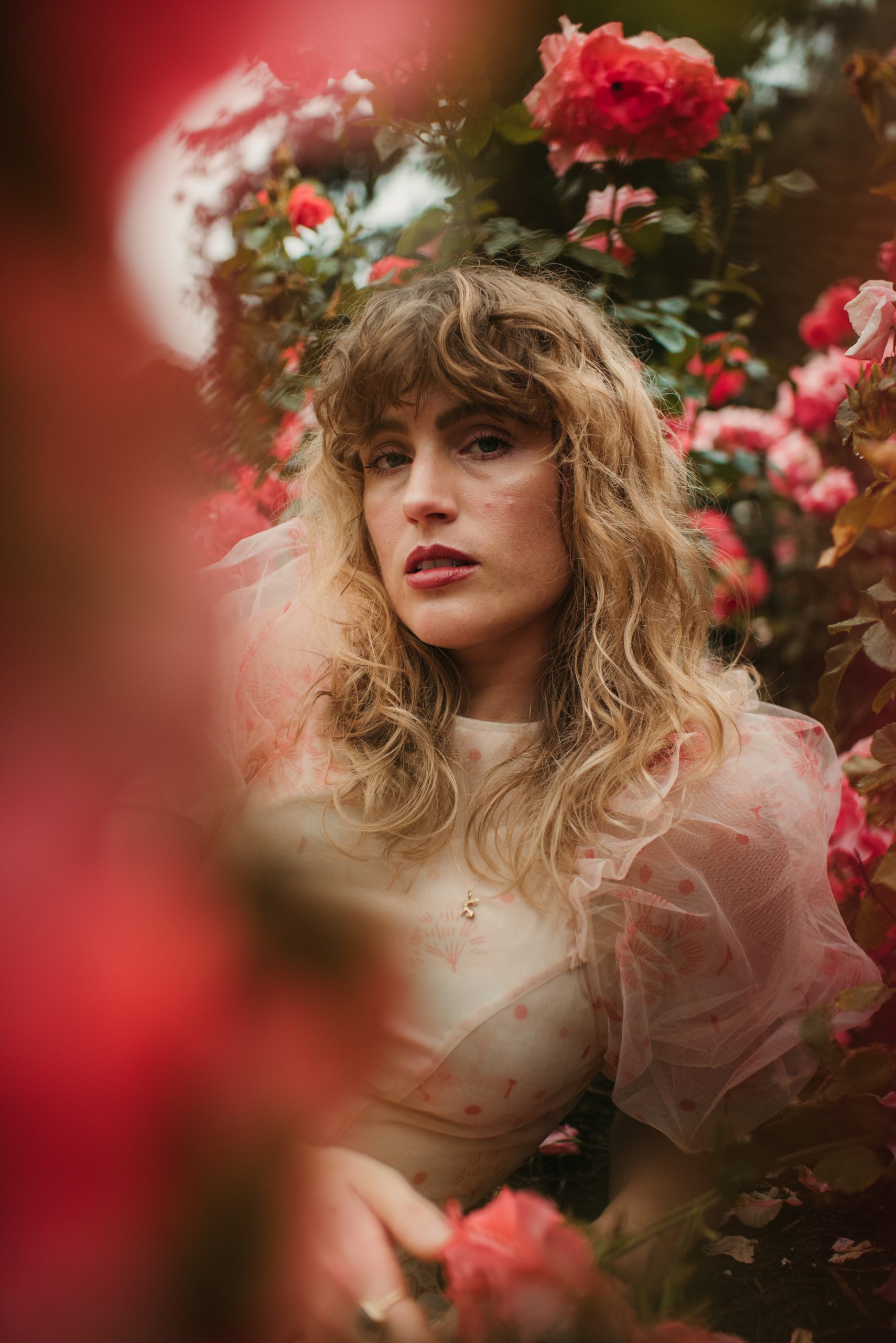 in the rose garden – The Doctorette